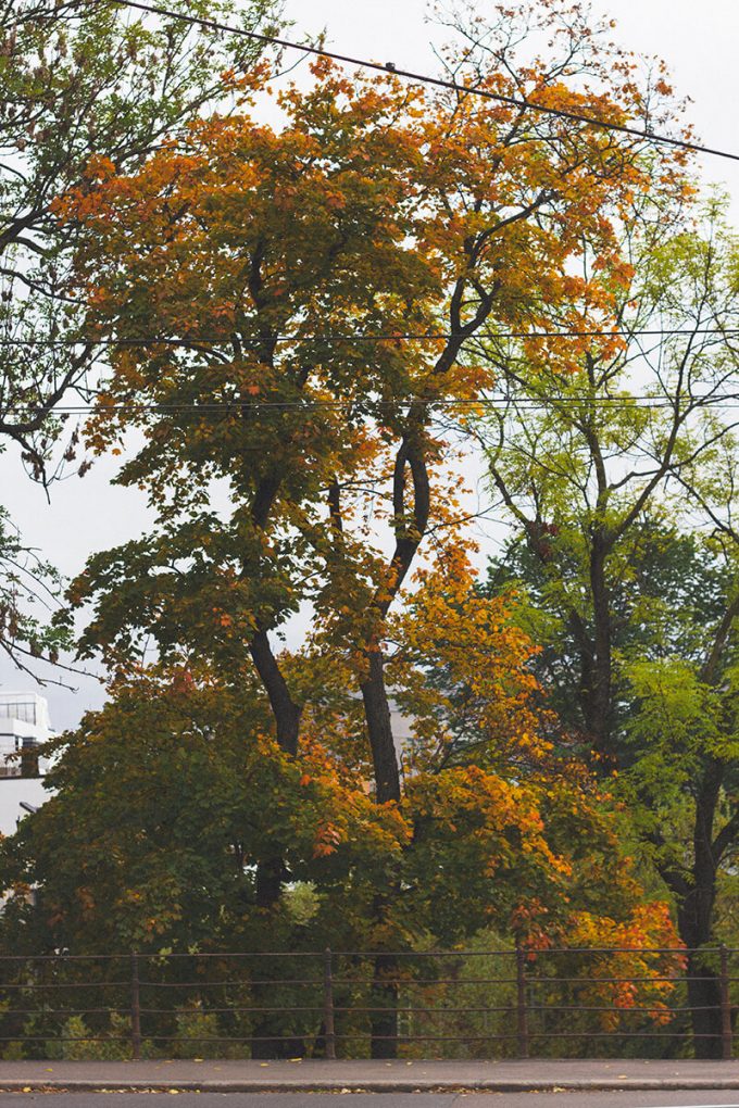 36 Hours in Oslo | Things To Do When Visiting Oslo | I'm Peter